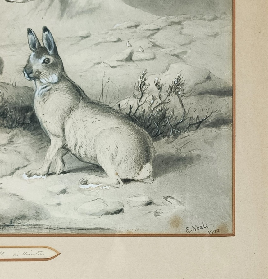 Edward Neale Artwork